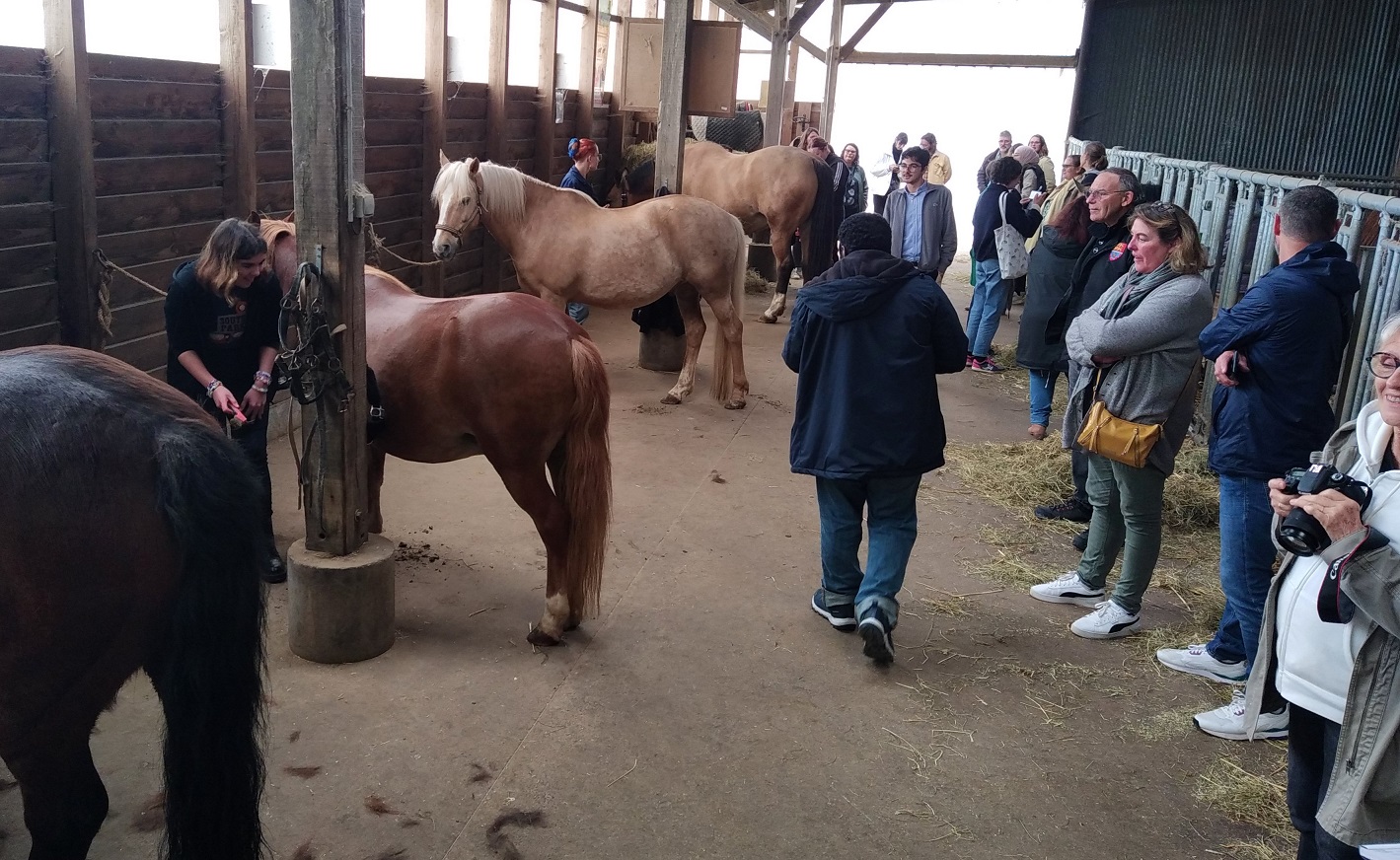Opération d'équi-coaching Waouh 3 - Lycée polyvalent Jean Monnet